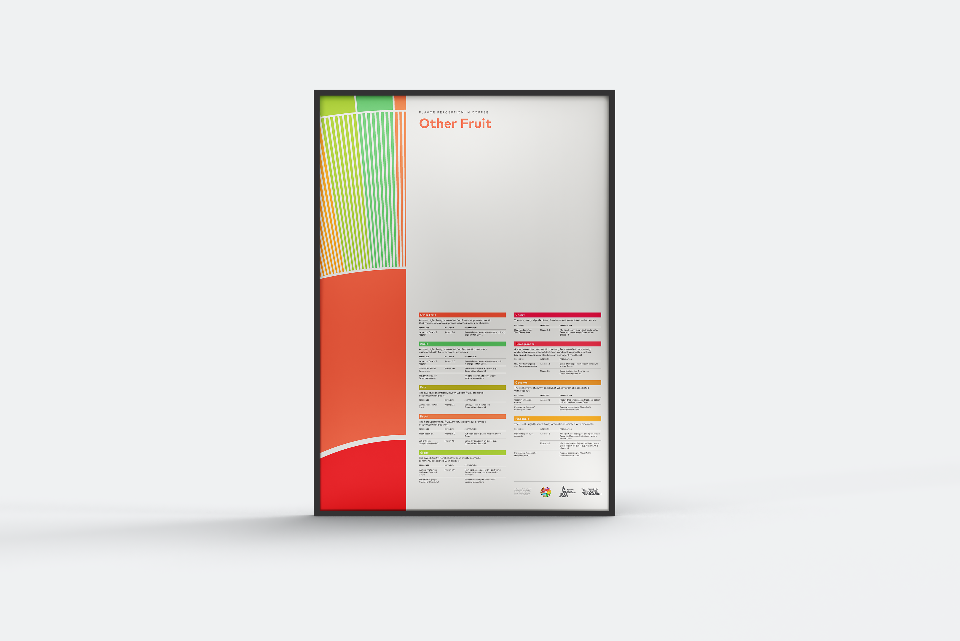 SCA Flavour Perception in Coffee Print – Other Fruit – Coffee Merch